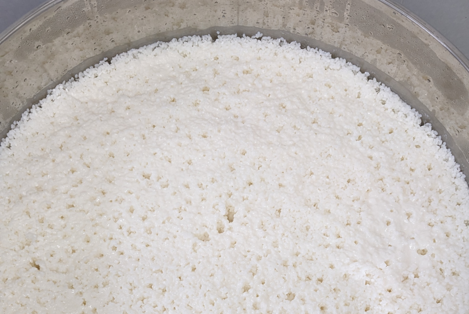 日本酒の製造工程を学ぼう – ⑤酒母造り | 日本酒の通販・お取り寄せはsakazuky STORE（サカズキーストア）